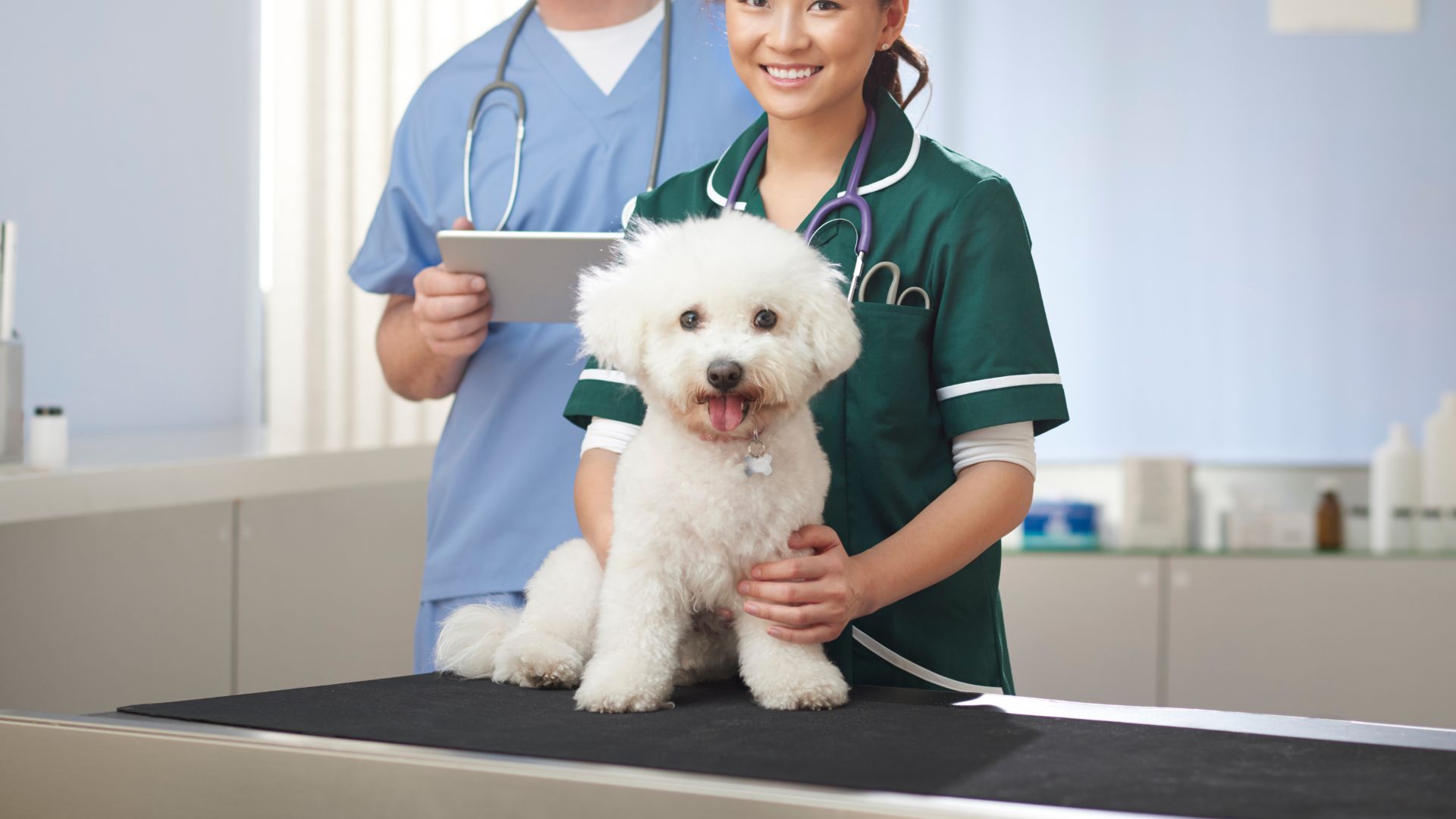 Tulsa, OK 74104 Veterinary Jobs | STATVet Animal Urgent Care